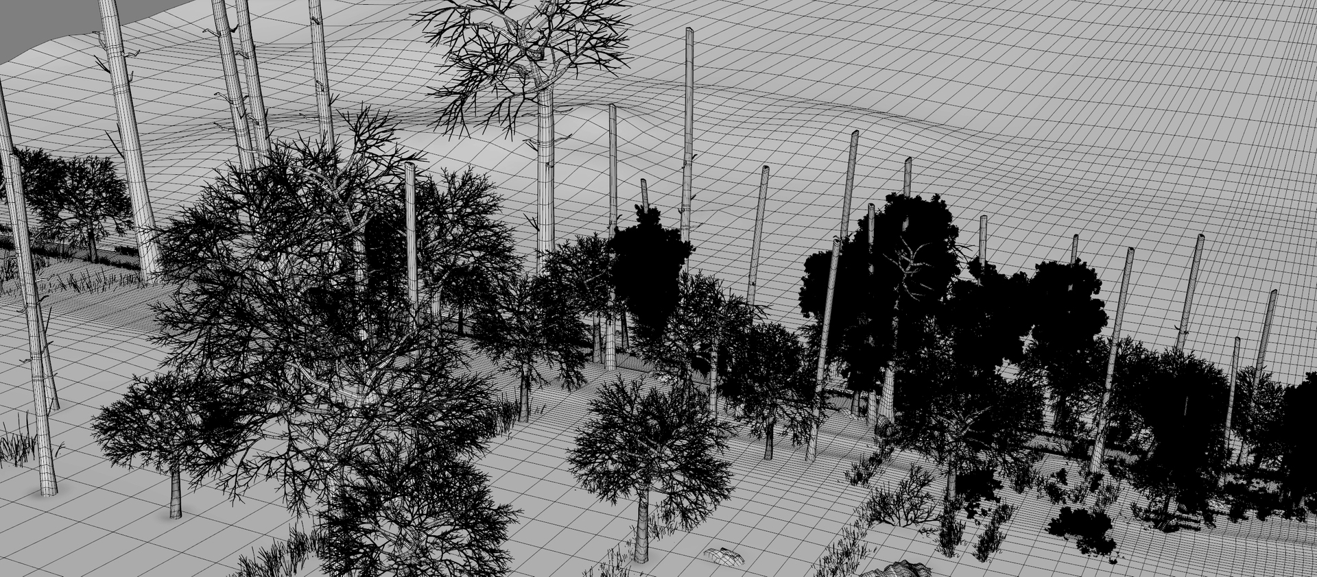 Nature Forest Environment 3D model - TurboSquid 1734885