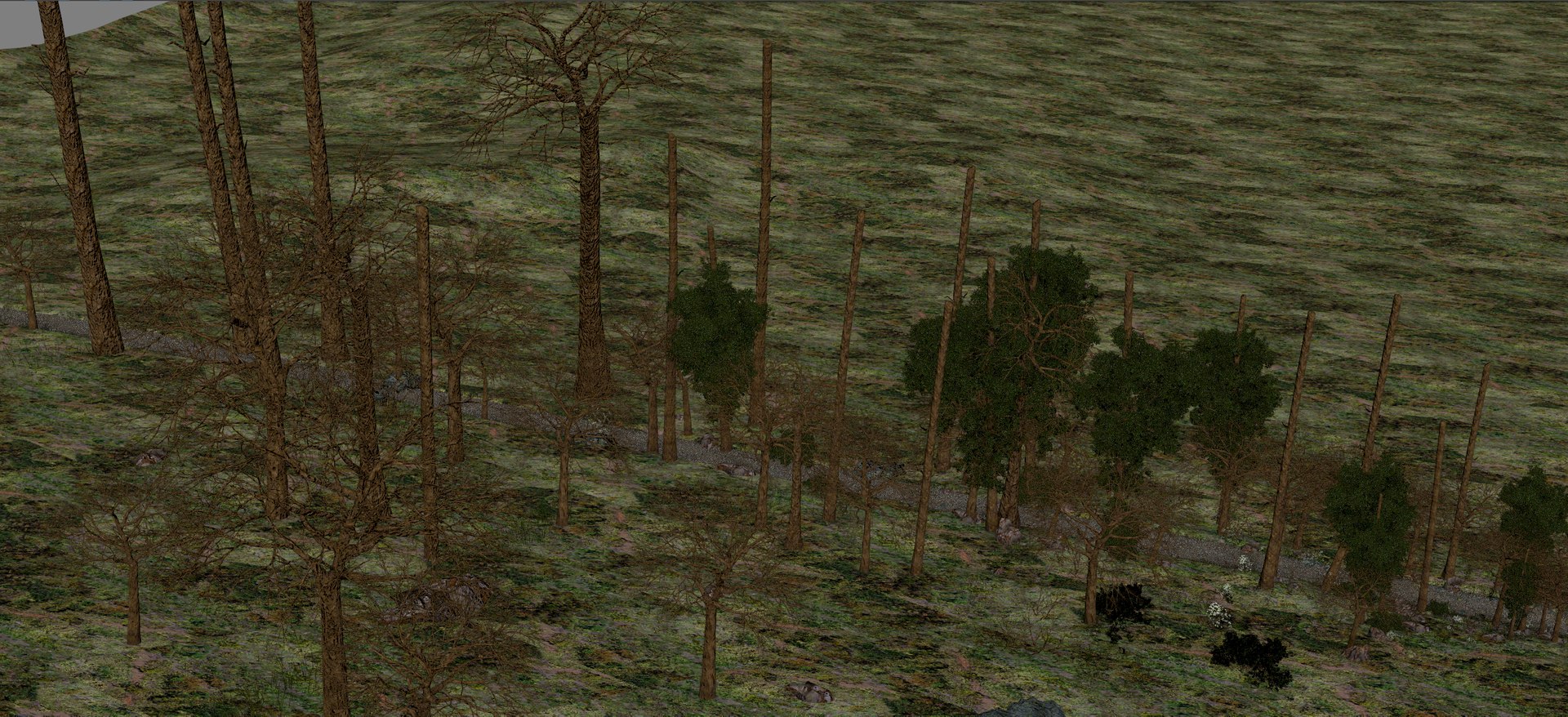 Nature Forest Environment 3D Model - TurboSquid 1734885