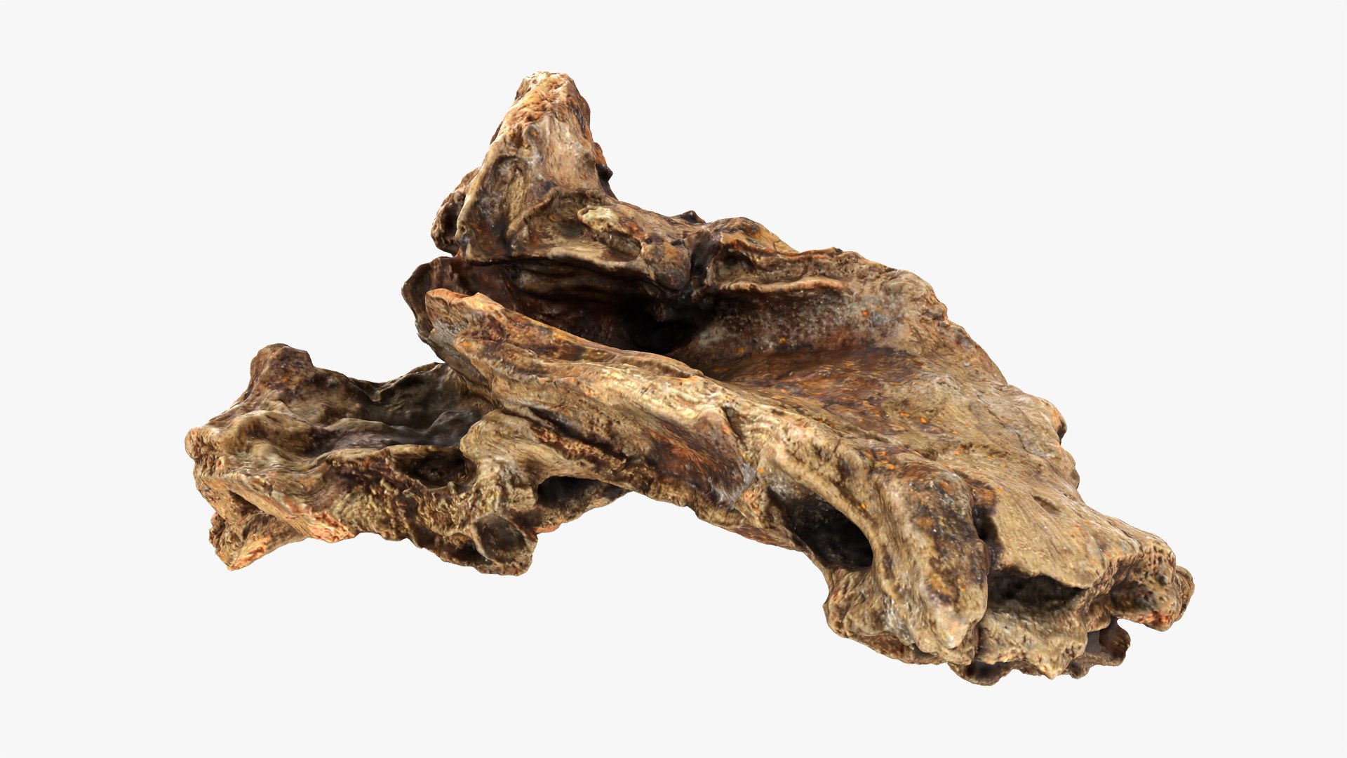 3D Tree Trunk Piece 03 - TurboSquid 2475682