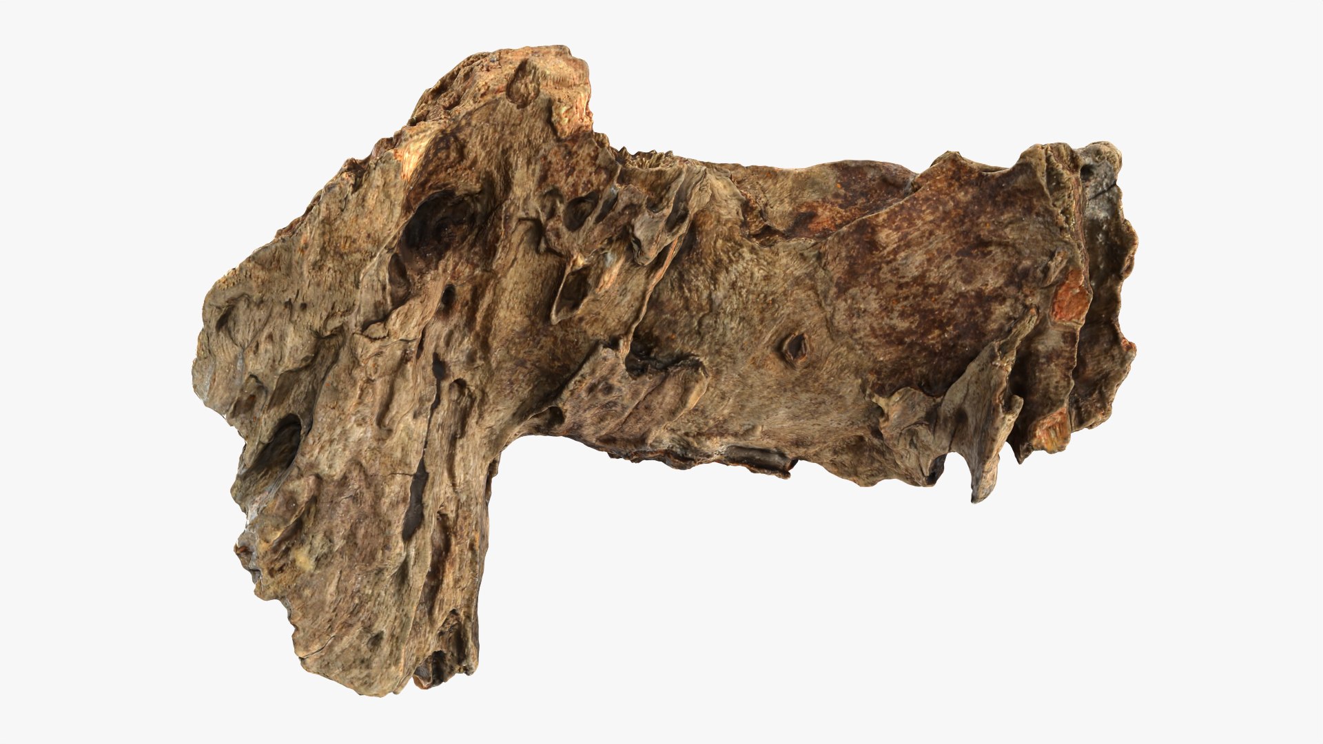 3D Tree Trunk Piece 03 - TurboSquid 2475682