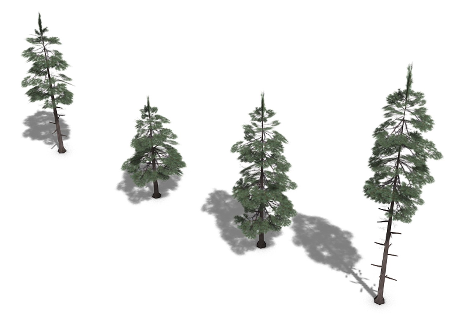 3d Pine Trees Model