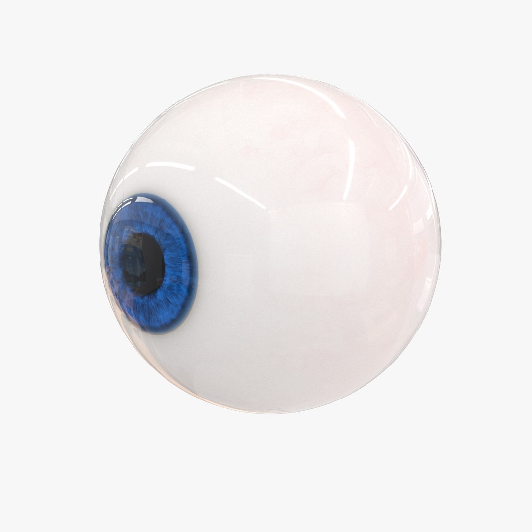 Cartoon Eye 3D Model - TurboSquid 1310139