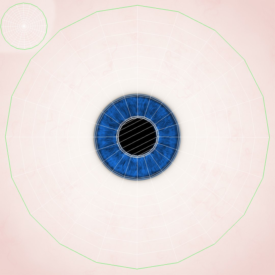 Cartoon Eye 3D Model - TurboSquid 1310139