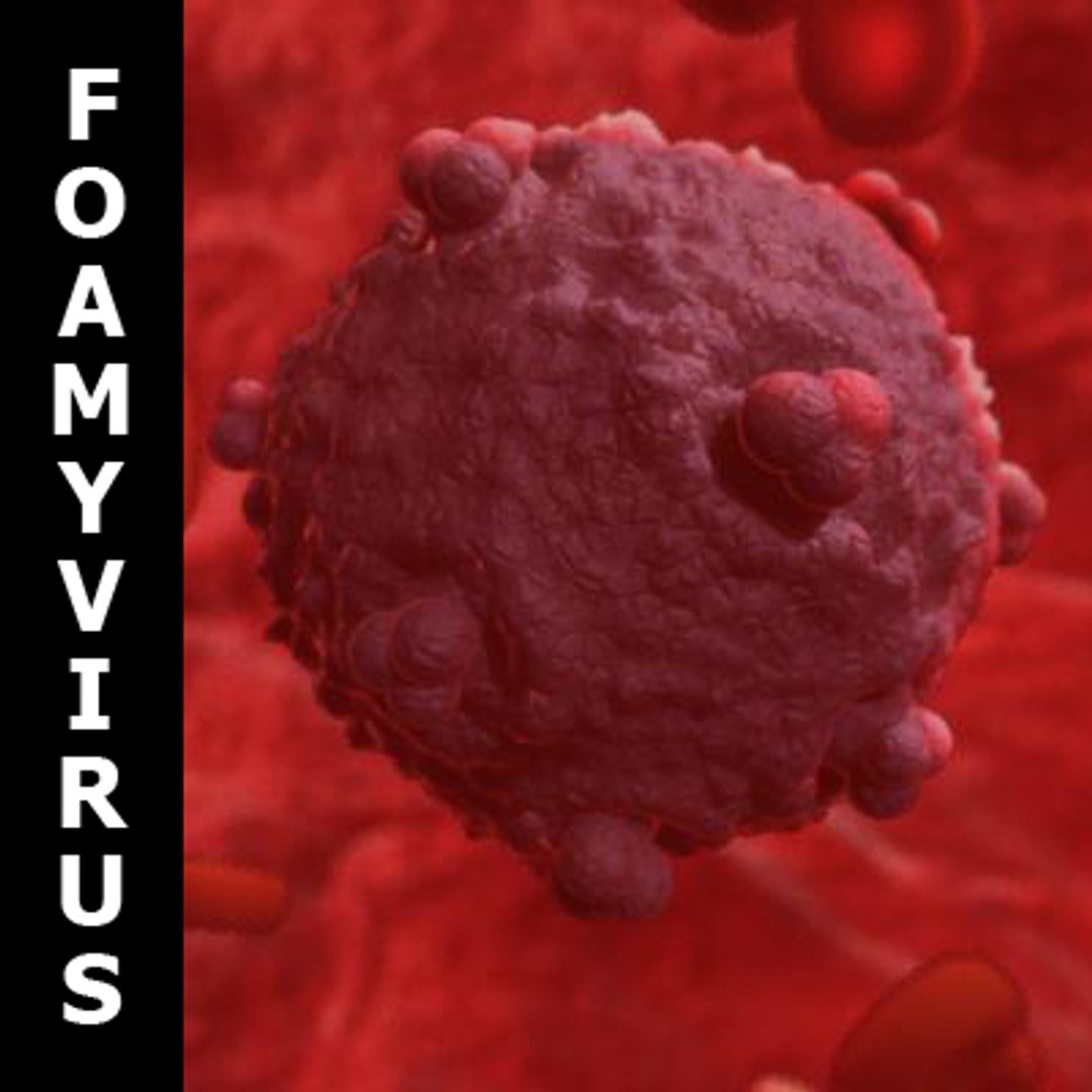Human Foamy Virus 3d Model