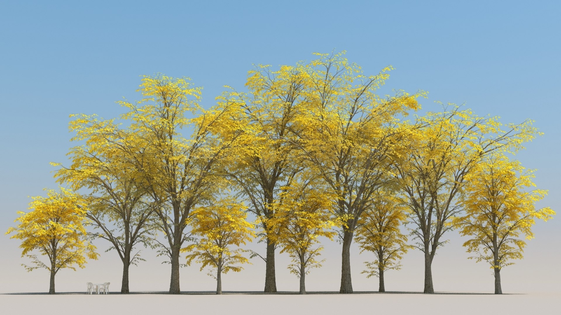 3D Model Summer Elm Tree - TurboSquid 1683710