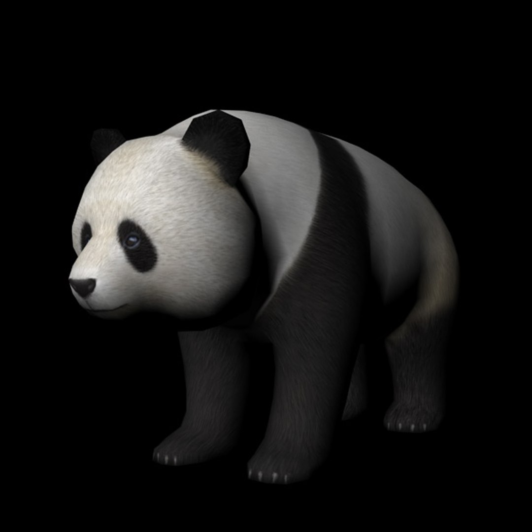 max panda edge