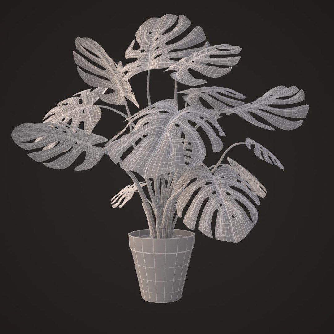 monstera plant fbx