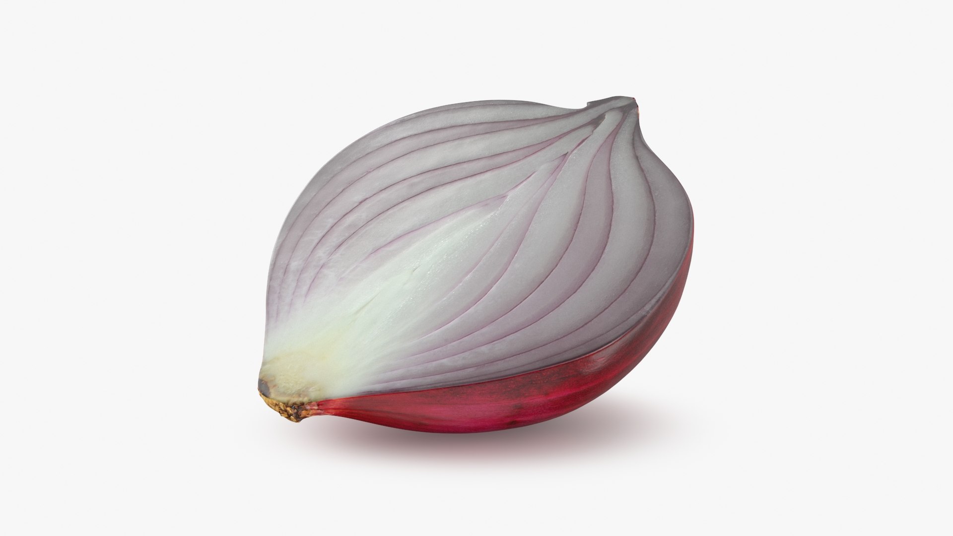 Half A Red Onion 4 3D - TurboSquid 2147018