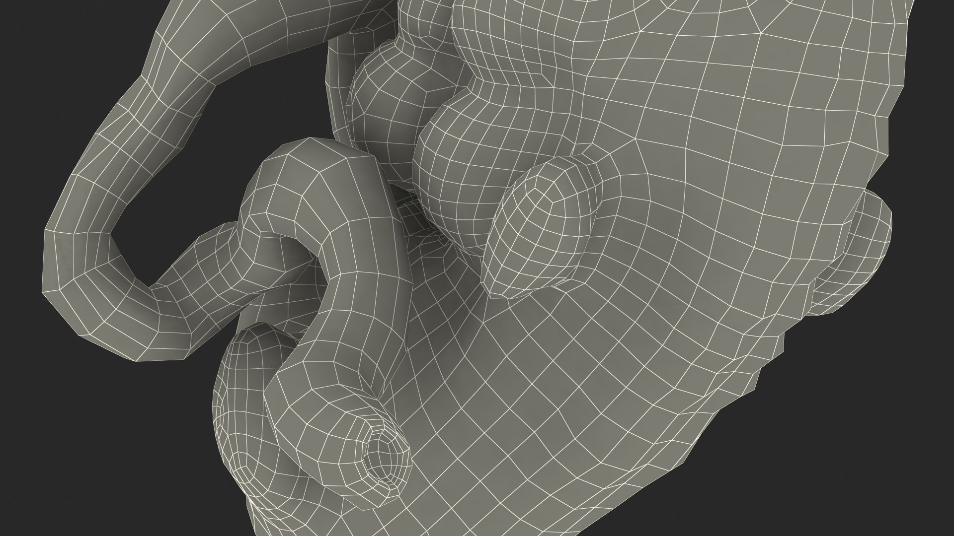 3D human embryo 4 weeks - TurboSquid 1657904