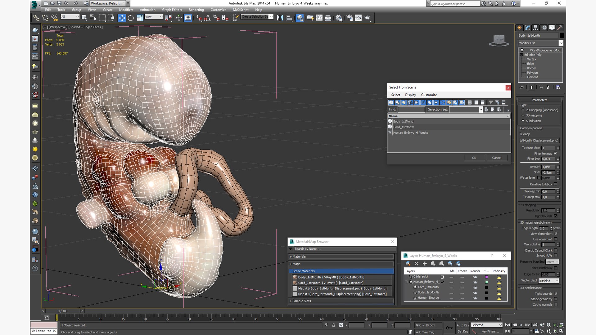 3D human embryo 4 weeks - TurboSquid 1657904