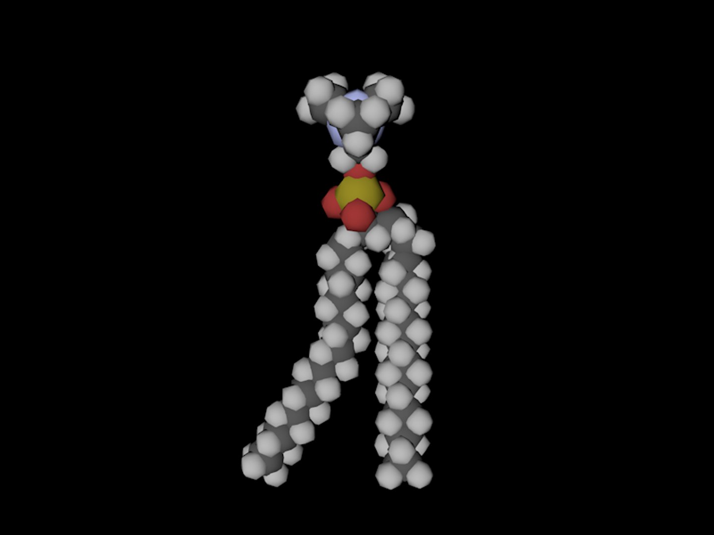 Phospholipid Lipid Molecule Model - TurboSquid 1280496