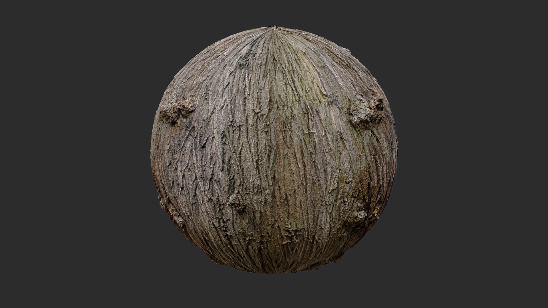 3D Black Poplar PBR Tiled Texture 16K - TurboSquid 2348989