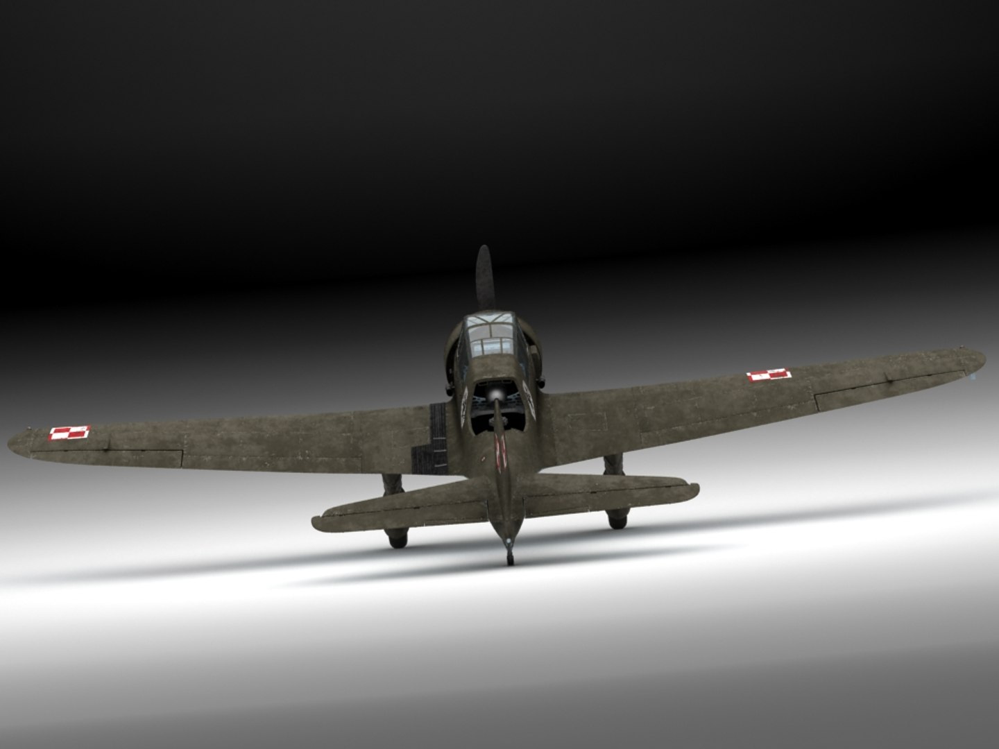3d Pzl23 Karas Light Bomber