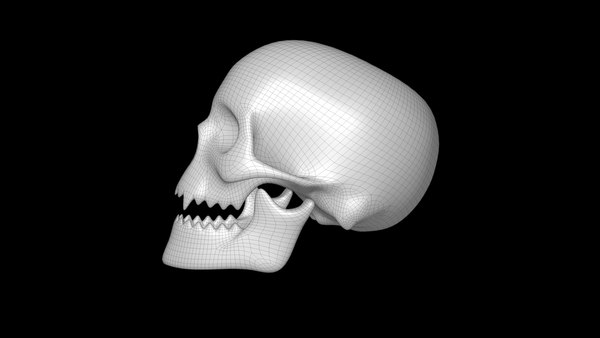 3D skull sharp teeth - TurboSquid 1667246
