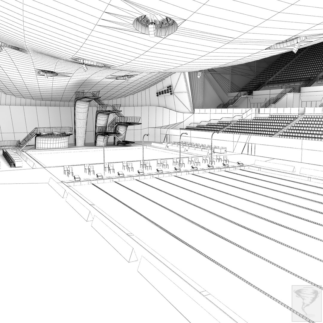 max olympic swimming arena