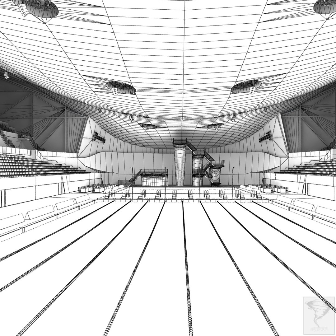 max olympic swimming arena