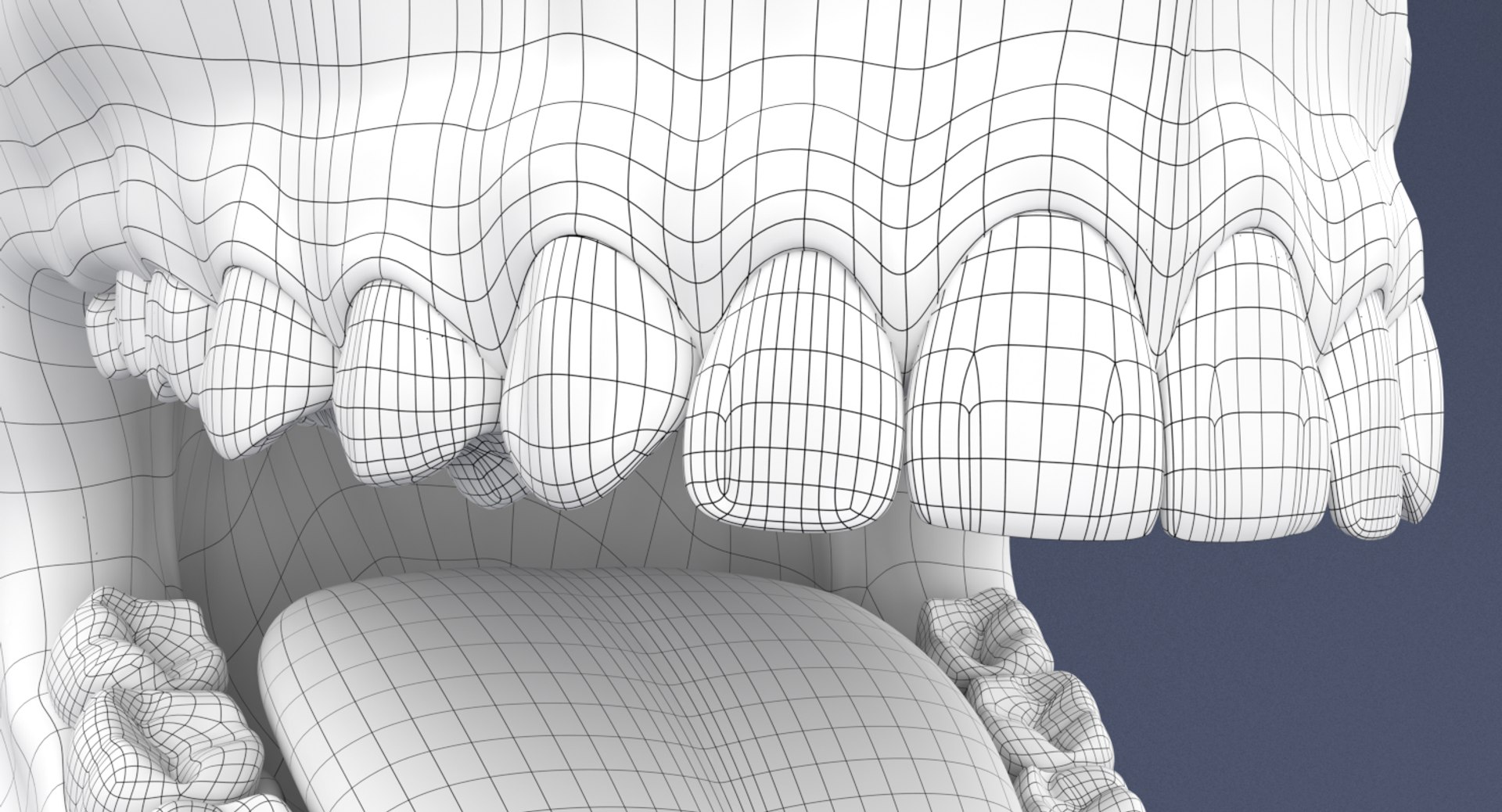 3D anatomy dental - TurboSquid 1326310