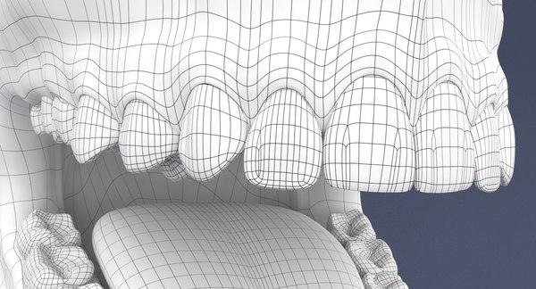 modelo 3d Anatomia Dental [lxo] - TurboSquid 1326310