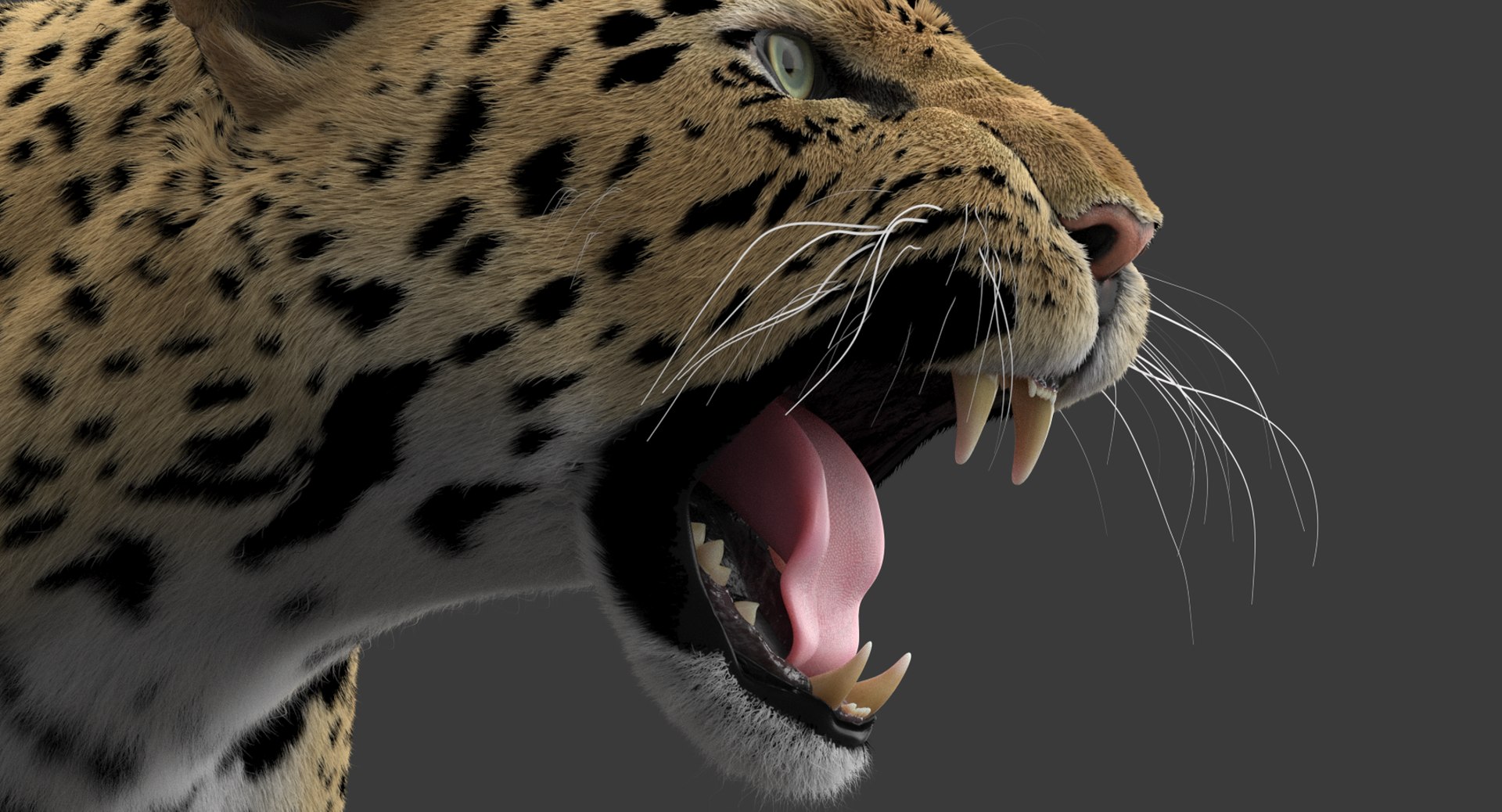3D Leopard V2 Animated-Rigged-Fur - TurboSquid 2056514