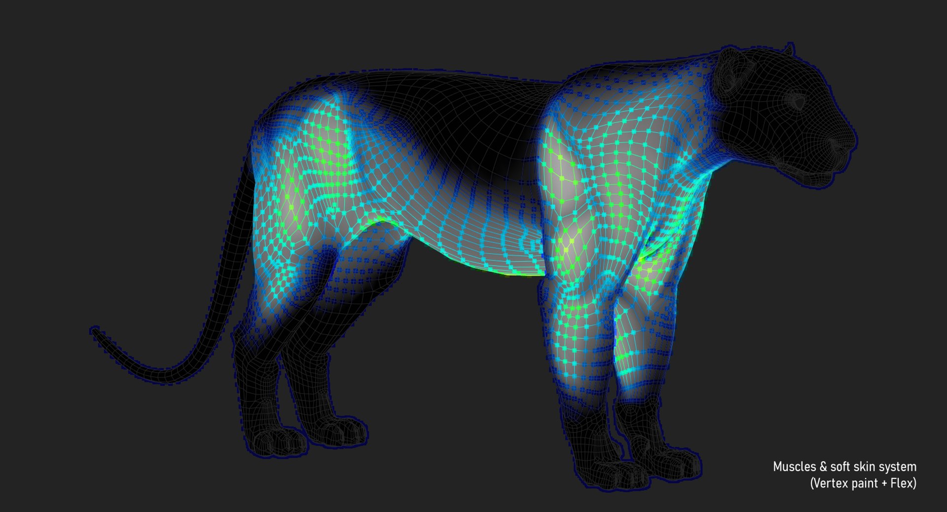 3D Leopard V2 Animated-Rigged-Fur - TurboSquid 2056514