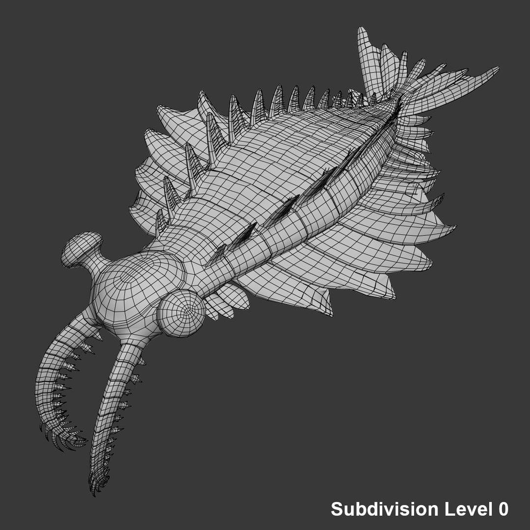 3d Model Anomalocaris Canadensis