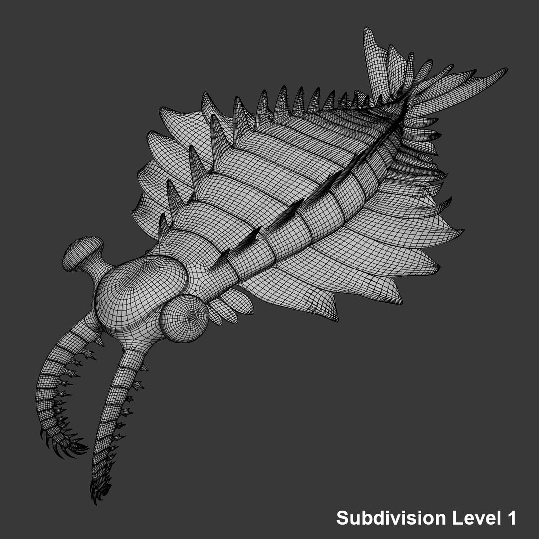 3d Model Anomalocaris Canadensis