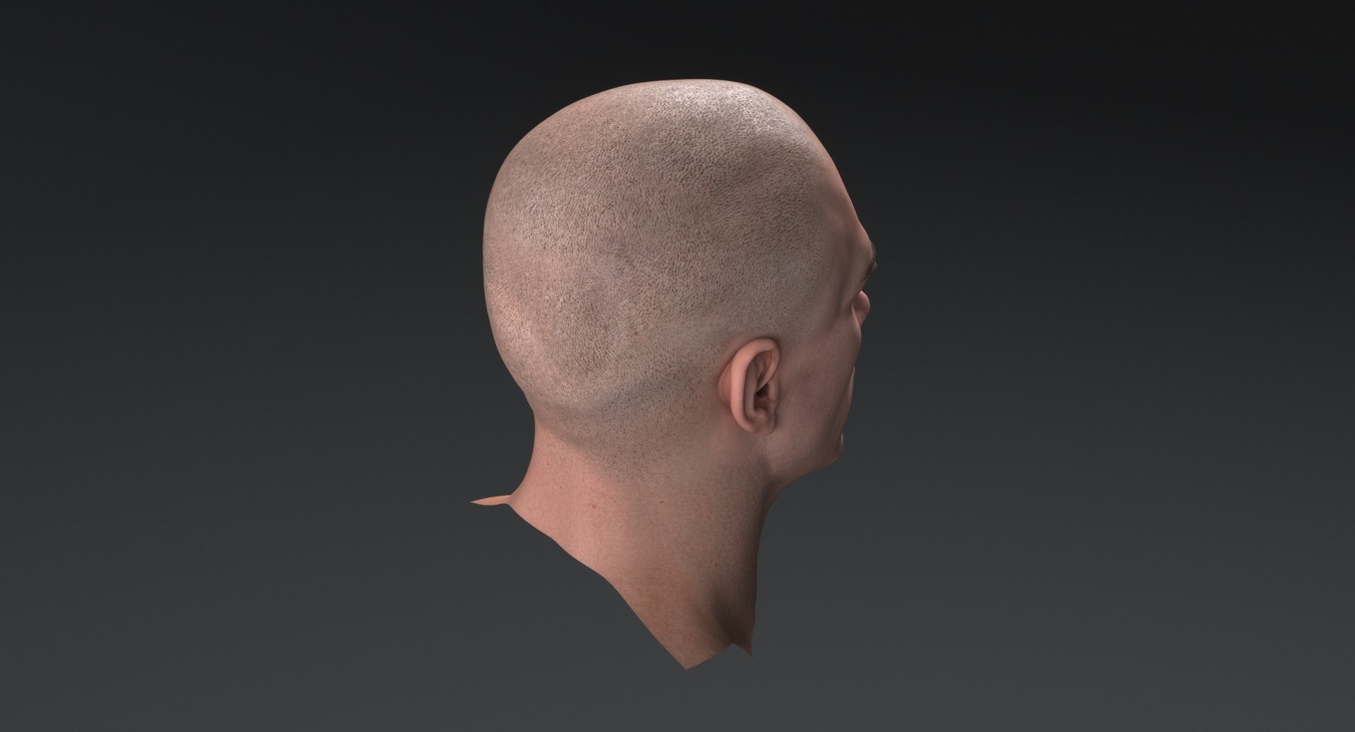 3D Photorealistic Human Head Realistic Model - TurboSquid 1413363