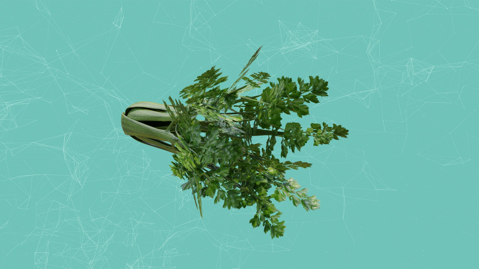 Celery 3D Model - TurboSquid 1846988