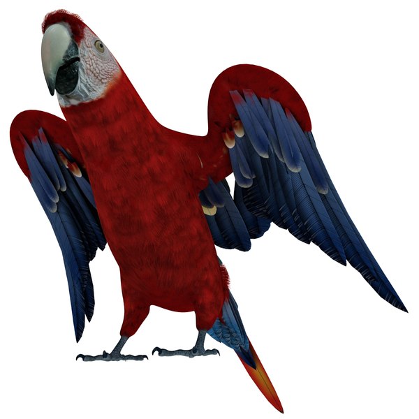 3d model scarlet macaw rigged bird