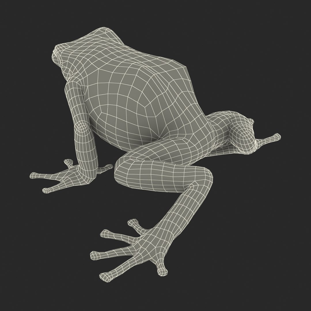 Poison Dart Frog Pose Max