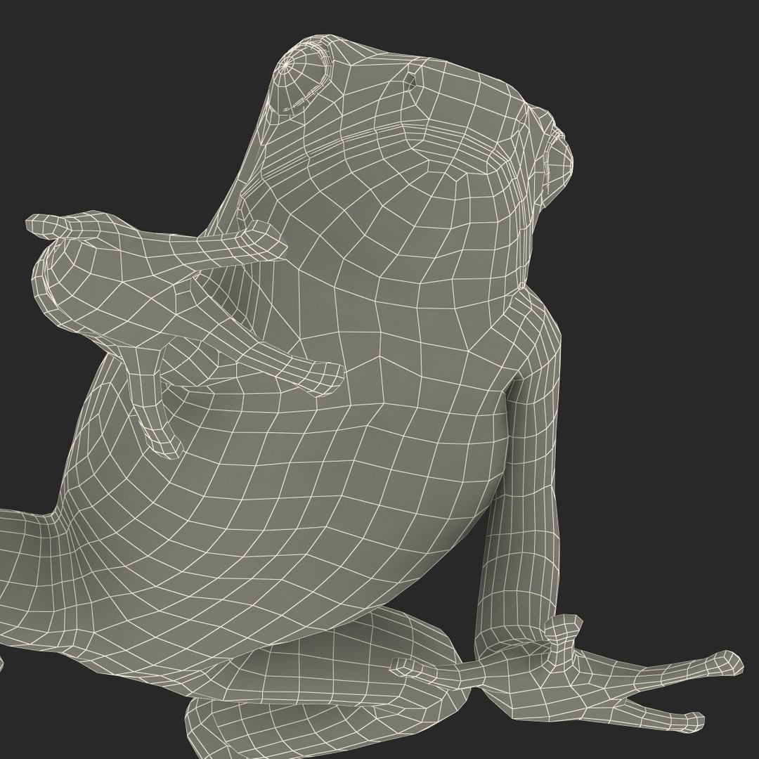 Poison Dart Frog Pose Max