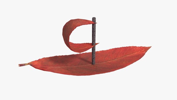 3d model of leaf boat