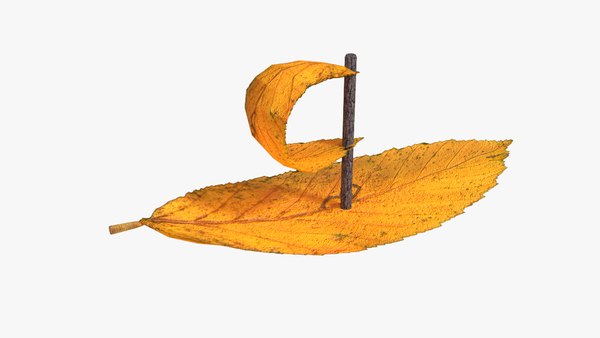 3d model of leaf boat