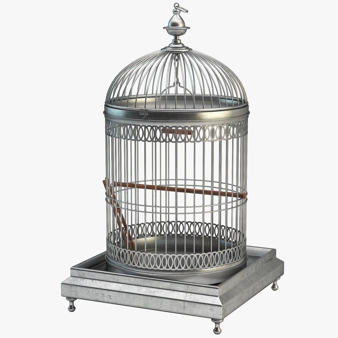 Old Birdcage 3D Model - TurboSquid 1475873