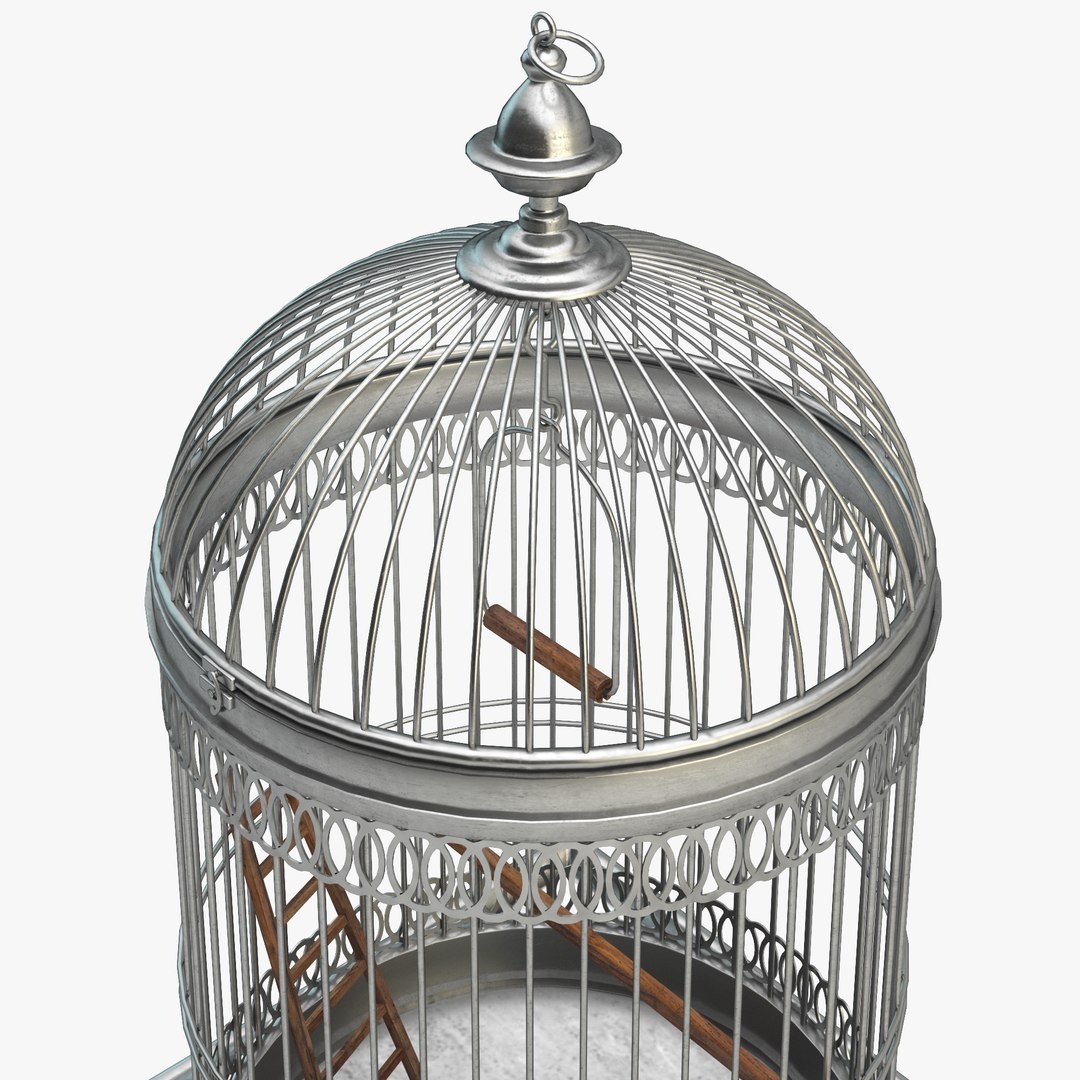Old Birdcage 3D Model - TurboSquid 1475873