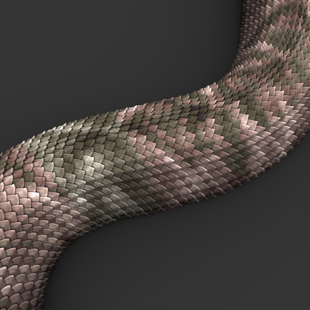 Snake Reptile Animal Model - TurboSquid 1481861