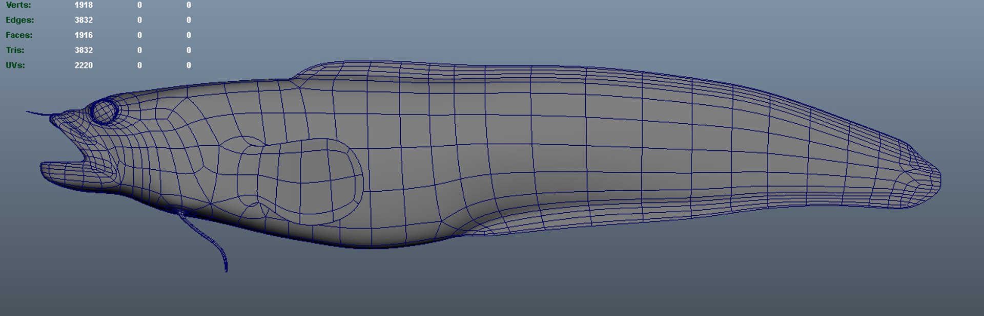 3D Pacific Bearded Brotula Clarkae - TurboSquid 1364283