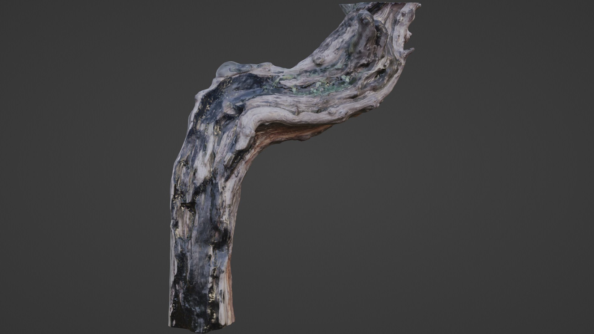 3D Fantsy Tree - TurboSquid 2329421