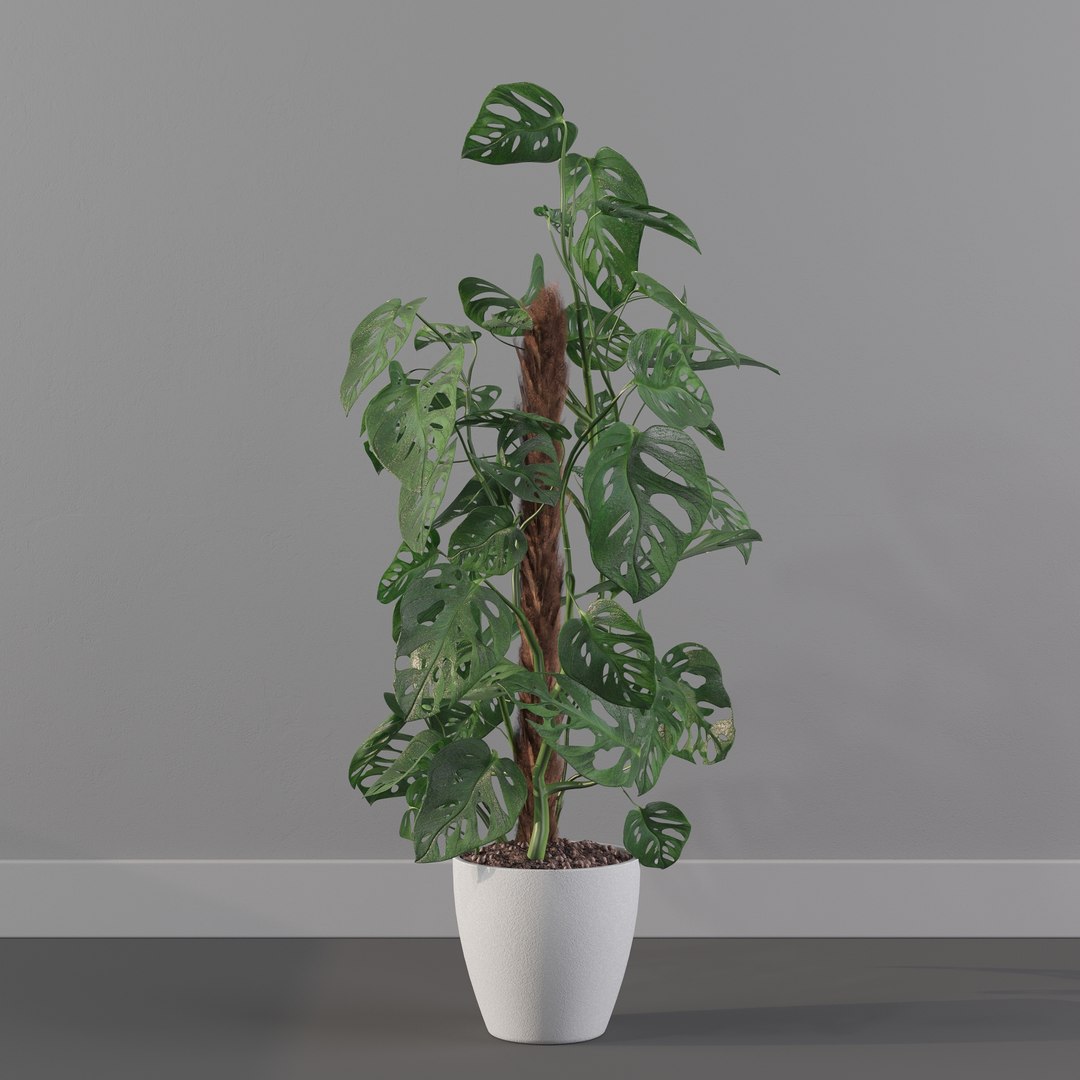 Monstera Monkey Mask 3D Model - TurboSquid 2186533