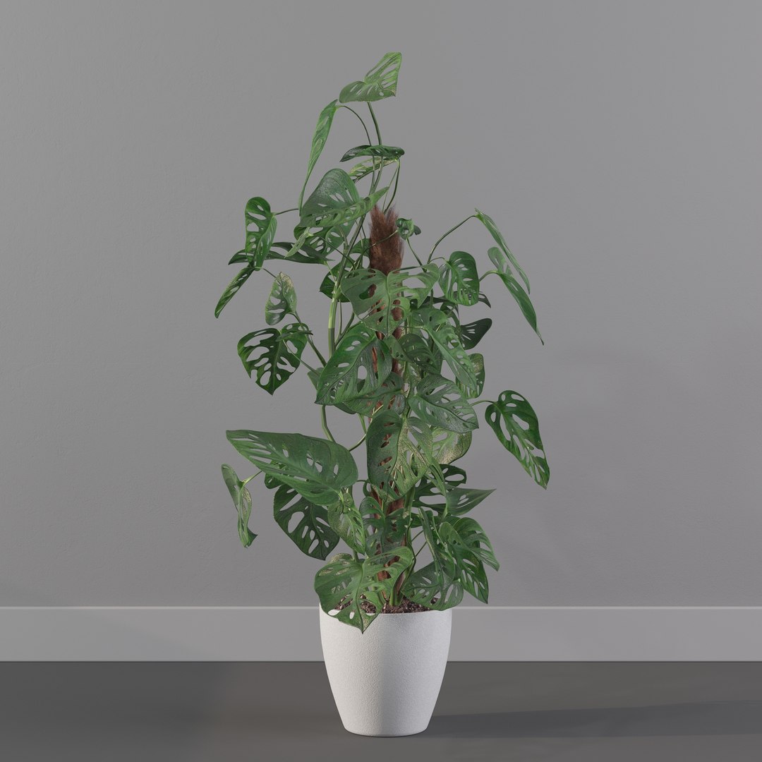 Monstera Monkey Mask 3D Model - TurboSquid 2186533