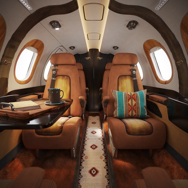 Airplane Interior 3D Models for Download | TurboSquid