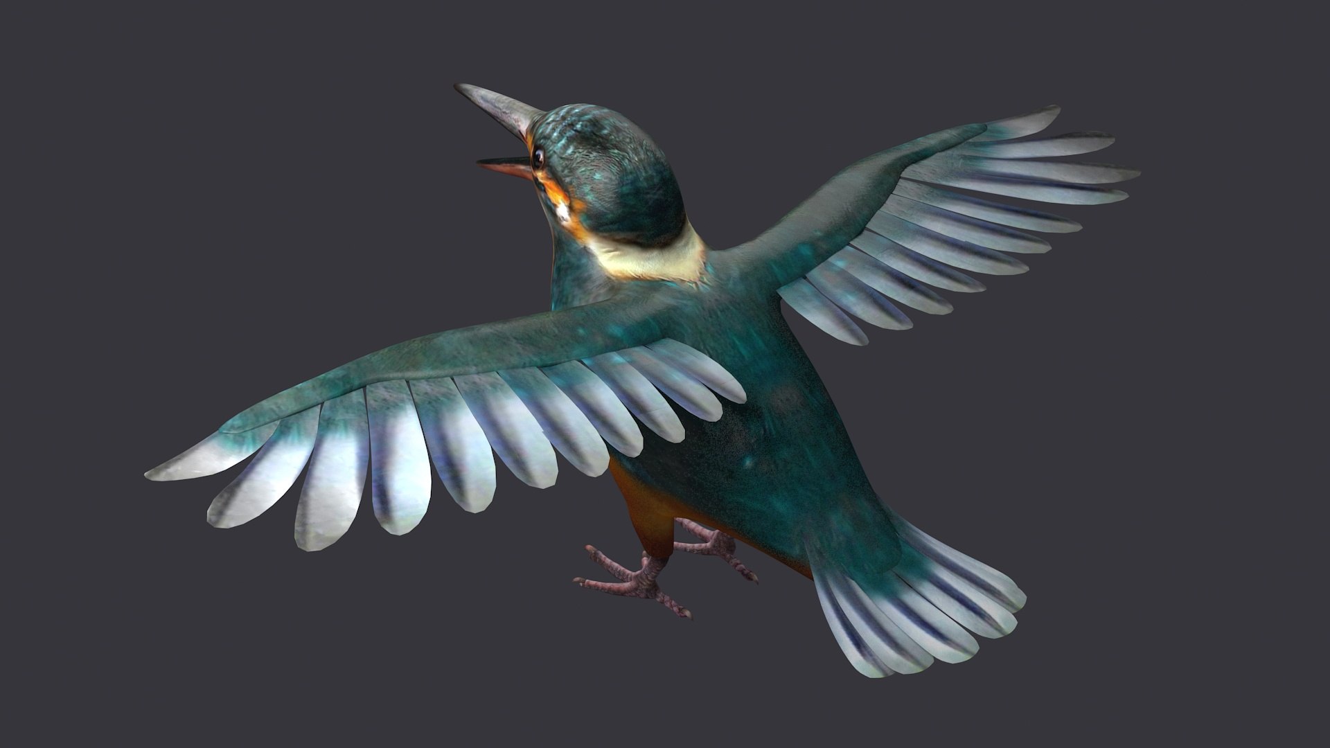 3D hummingbird humming bird kolibri animal tiny model - TurboSquid 2008305