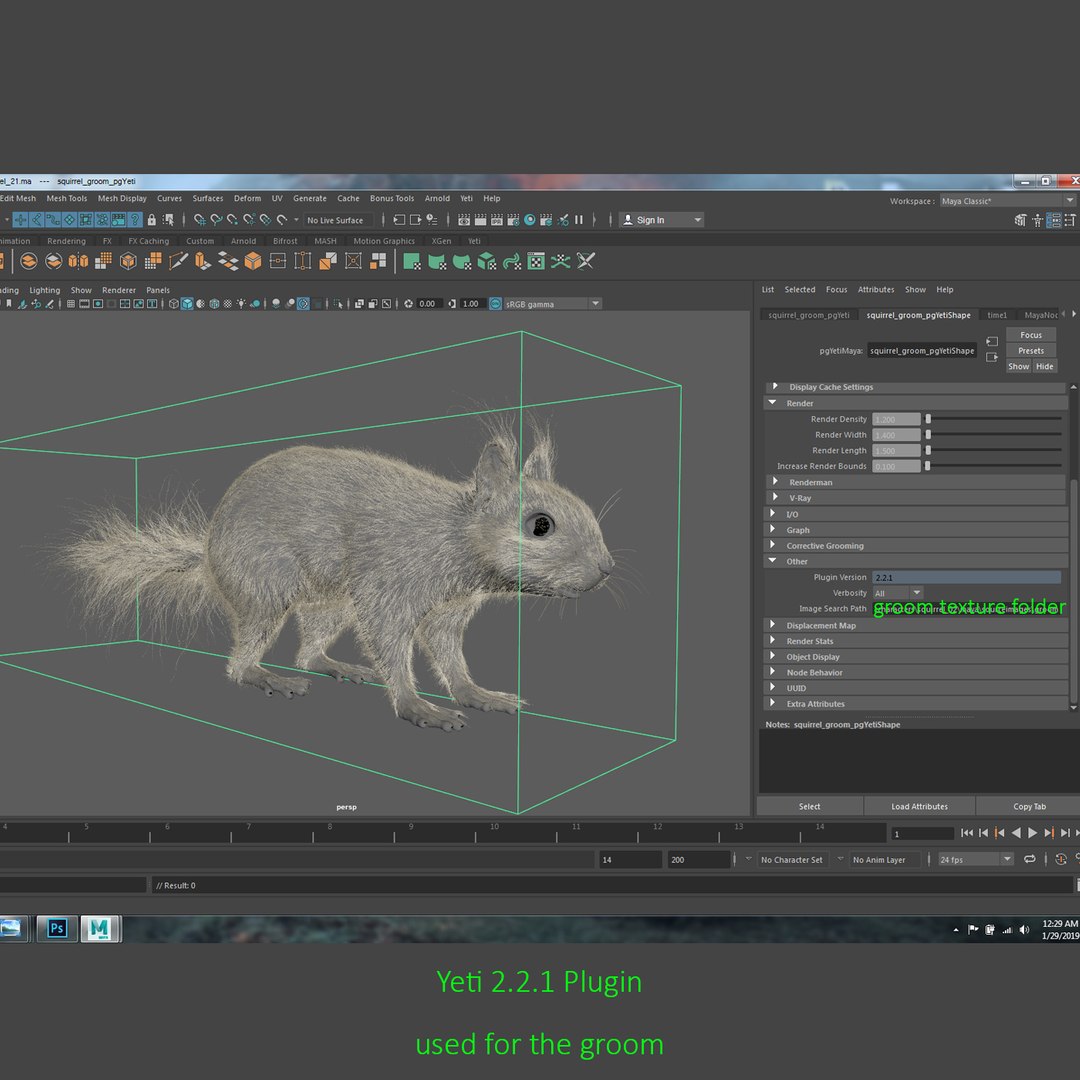 3D Squirrel Nature Rodent - TurboSquid 1373848