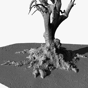 Tree Root 3D Models for Download | TurboSquid