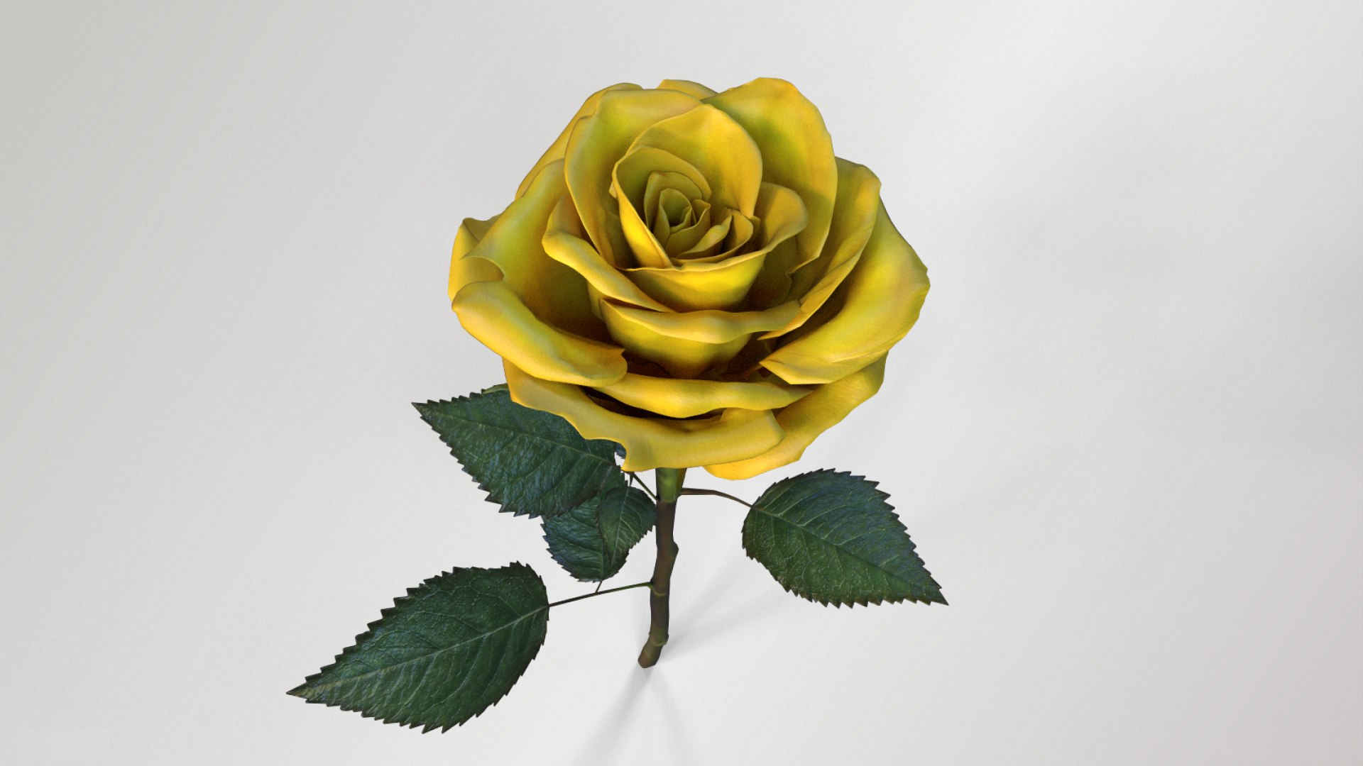 Single Yellow Rose 3D - TurboSquid 2276766