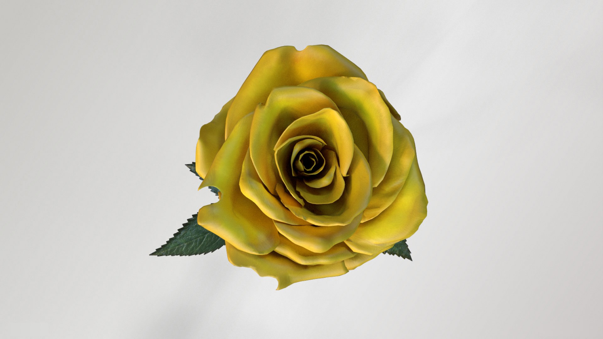 Single Yellow Rose 3D - TurboSquid 2276766
