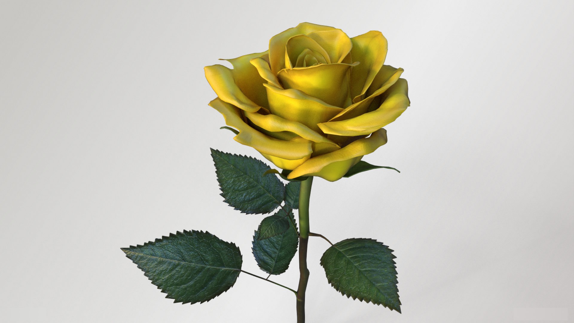 Single Yellow Rose 3D - TurboSquid 2276766