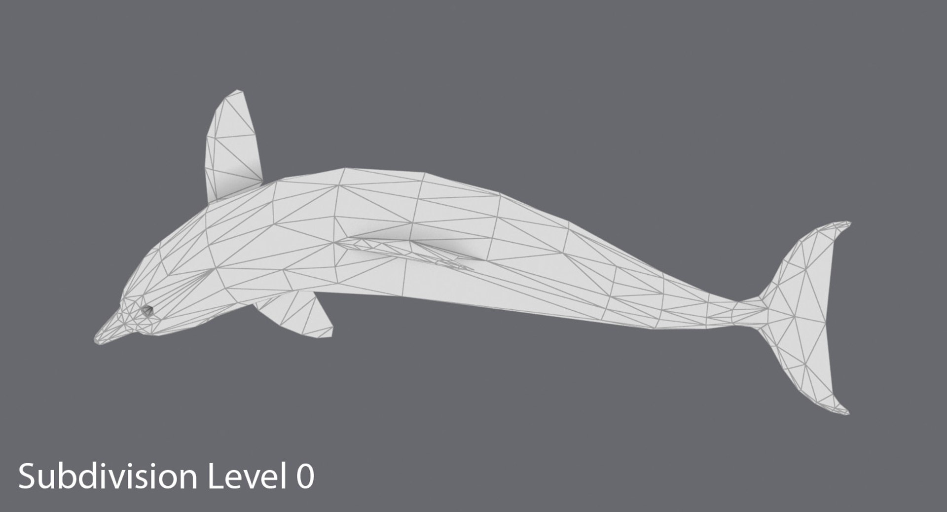 3D Model Dolphin---turning - TurboSquid 1237841