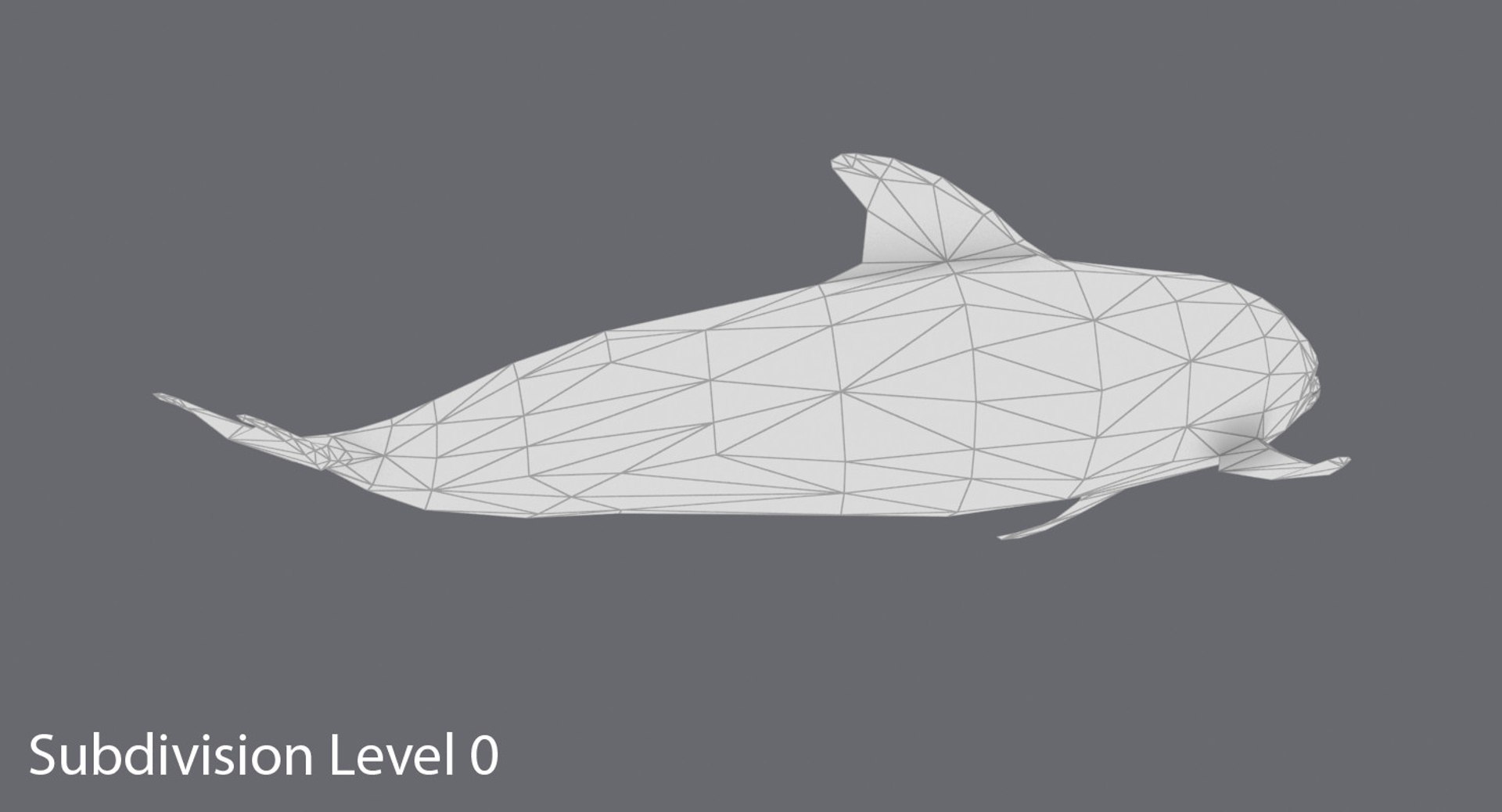 3D Model Dolphin---turning - TurboSquid 1237841