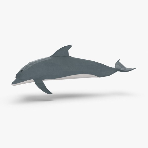 Marine Mammals USD Models for Download | TurboSquid